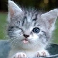 豆子 - DevBean Tech World